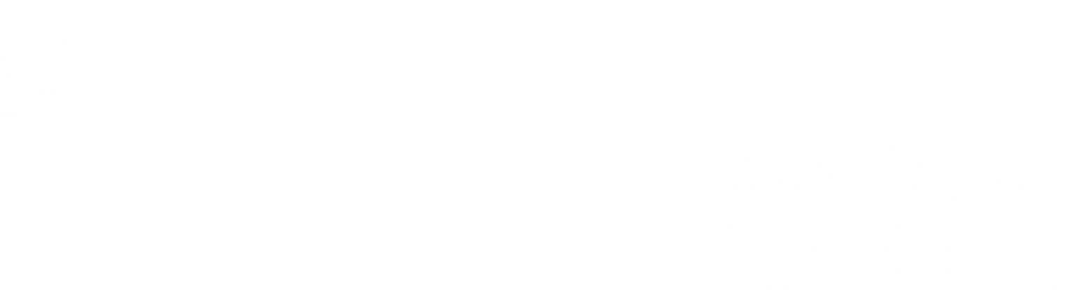 CTA-Shapes.png - מגלים את אמריקה